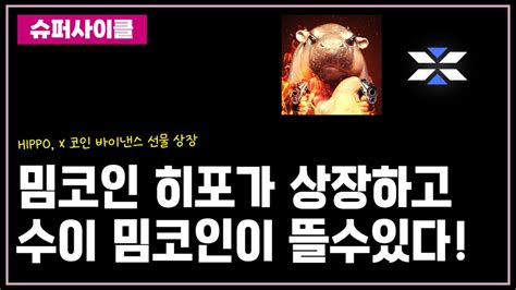 수이 밈코인 히포코인 바이낸스 상장이 가지는 의미 Youtube