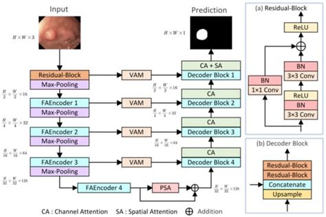 Lightcf Net A Lightweight Long Range Context Fusion Network For Real Time Polyp Segmentation