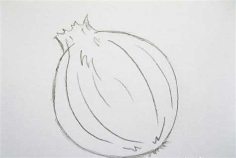 How To Draw Onion Cell Easy And Step By Step