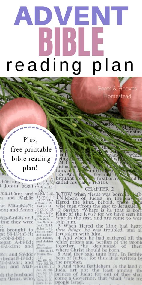 Weekly Advent Readings To Help You Celebrate Christmas Artofit