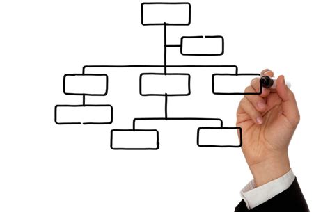 13 Mẫu sơ đồ tổ chức công ty phổ biến mới nhất 2022 Tải về Dịch Vụ