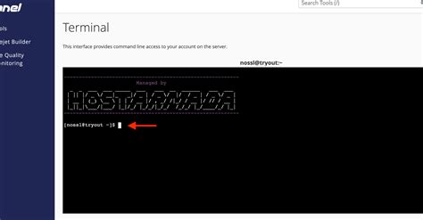 Using The Terminal Feature In Cpanel To Connect Over Ssh Hostarmada