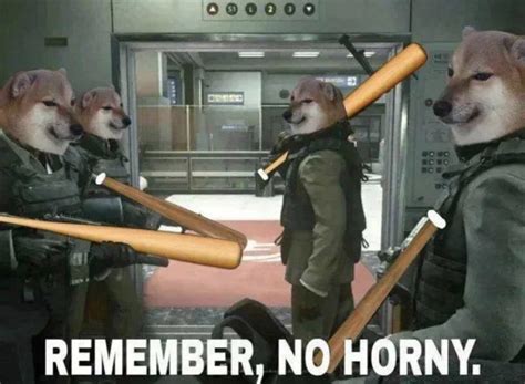 No Horny In Cod R BONKpatrol