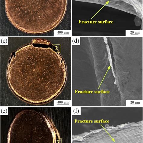 Morphology Of Fracture Surface Under Various Laser Power Densities With Download Scientific