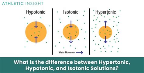 Hypertonic Solution Definition How It Works Importance And Benefits