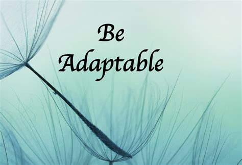 Be Adaptable Blog Bni
