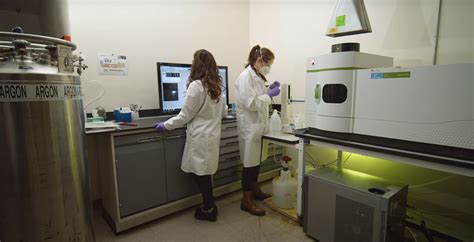 Safety Safeguards And Informed Security Design Energy