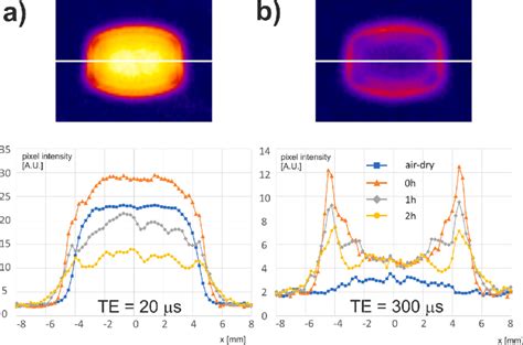 Image Intensity Profiles Across Axial Cross Section Image White Line