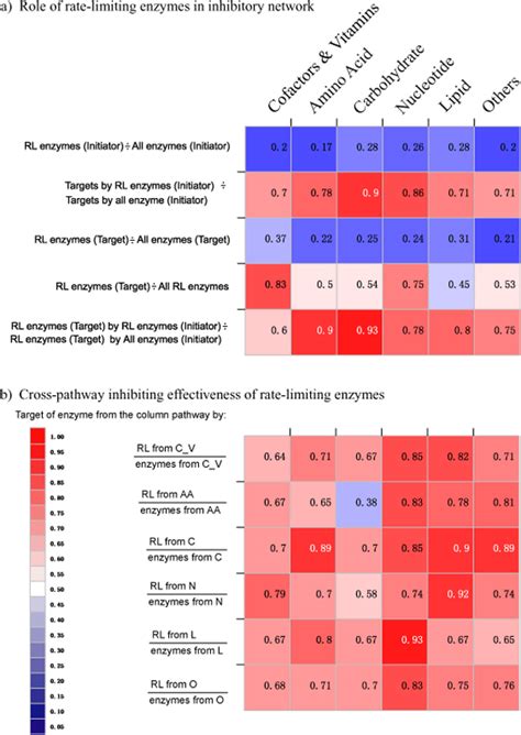 Characteristics Of Rate Limiting Enzymes In Inhibitory Network A