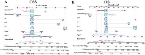 the nomograms for predicting 1 3 and 5 year css and os in elderly