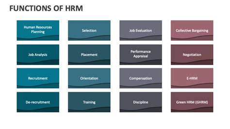 Functions Of HRM PowerPoint And Google Slides Template PPT Slides