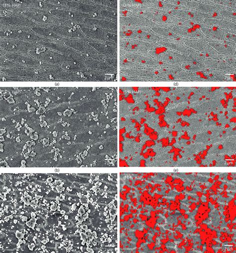 Representative Sem Micrographs Of The Standardized Bovine Enamel Sample Download Scientific