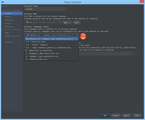 IntelliJ IDEA项目更换JDK版本 六十七 67 博客园