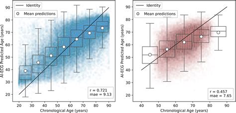 Artificial Intelligence Age Prediction Using Electrocardiogram Data Exploring Biological Age