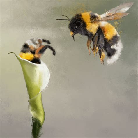 Bumblebee In Trouble Oc R Bees