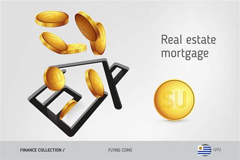 우루과이 페소 동전 금융 개념 비행 집 아이콘 인쇄 웹 사이트 웹 디자인 모바일 애플 리 케이 션 인포 그래픽에 대 한 벡터 일러스트 0명에 대한 스톡 벡터 아트 및 기타