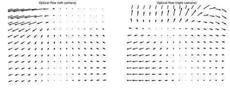 Example Of Stereo Left And Right Optical Flow Fields From The