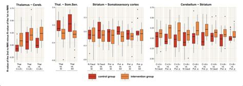 Between Network Connectivity The Figure Shows The R Values Of The