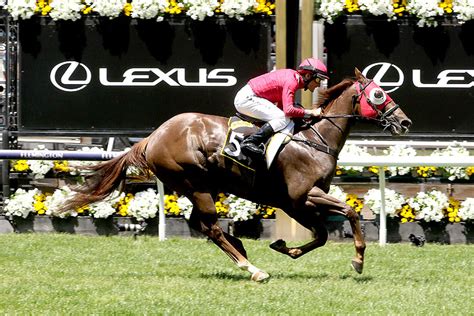 Wiggum Looks To Repeat Flemington Success Racing And Sports