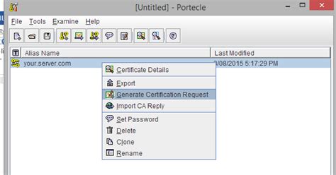 Use Signed Ssl Certificate With Java