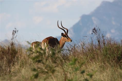 Craps Game Craps Game Table 08022025