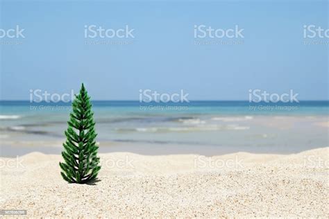푸른 바다의 배경에 하얀 모래 해변 및 복사 공간 화창한 날에 하늘에 크리스마스 나무 0명에 대한 스톡 사진 및 기타 이미지 0명 겨울 계절 Istock