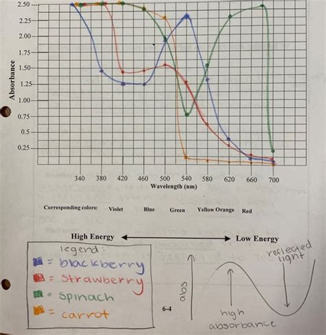 Lab Test 2 Dr Ricker Flashcards Quizlet