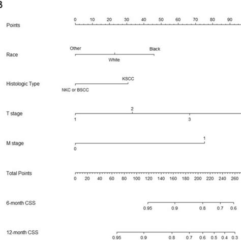 Nomogram Predicting The 6 Month And 12 Month Css Of Npc Patients After