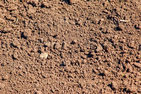 Soil Texture The Soil Is Prepared For Planting In Spring Stock Photo At Vecteezy