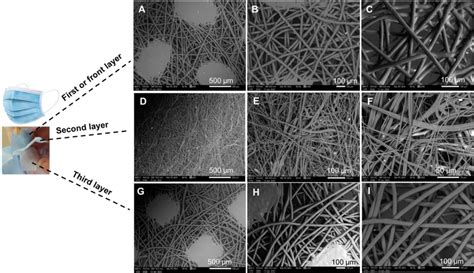 Sem For Each Of The Three Layers Of A Surgical Mask A C Front Layer