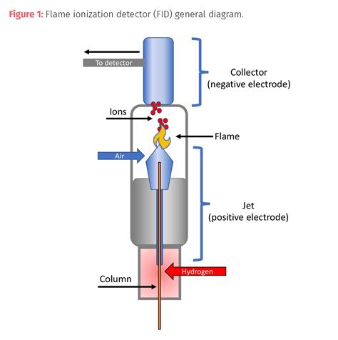 How Does A Flame Ionization Detector Work At Gilberto Morales Blog
