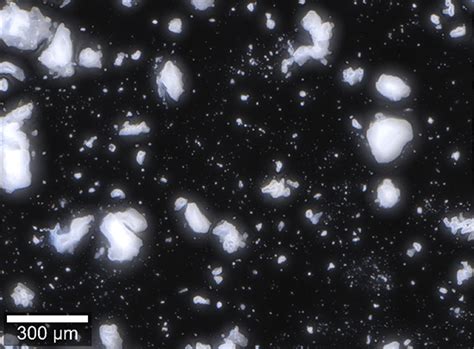 White Light And Fluorescence Microscopy Witec Raman Imaging Oxford Instruments