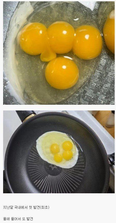 110억 분의 1 확률  재미진