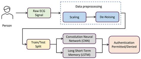 Electrocardiogram Ecg Based User Authentication Using Deep Learning Algorithms