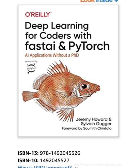 人工智能 深度学习的书籍推荐deep Learning For Coders With Fastai And Pytorch Csdn博客