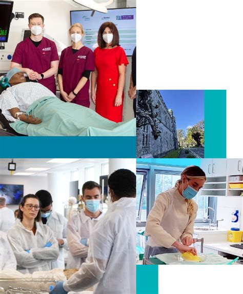 Msc Healthcare Simulation And Patient Safety Simulation Masters