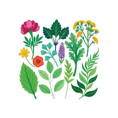 Colorful Plants Vector Art Icons And Graphics For Free Download