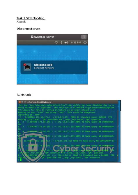Week 5 Assessment Lab 4 Lab Week 5 Task 1 Syn Flooding Attack Disconnectserver Runtshark