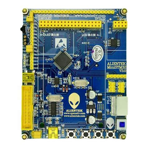 Seven Star Insect Punctual Alientek Stm32 Development Board