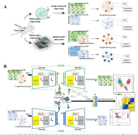 Figure 1 From Multi Omics Integration For Both Single Cell And Spatially Resolved Data Based On