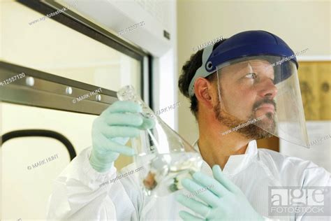 Scientist Holding A Flask Stock Photo Picture And Royalty Free Image Pic DPI 12557120