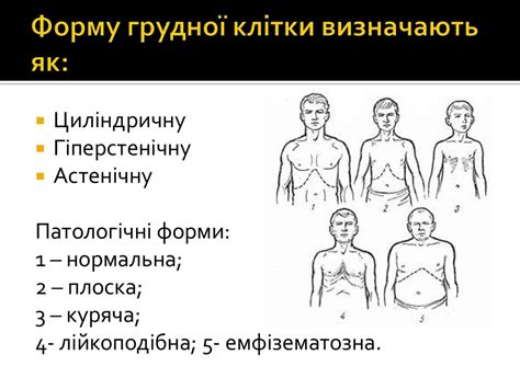 Фізичний розвиток людини презентация онлайн