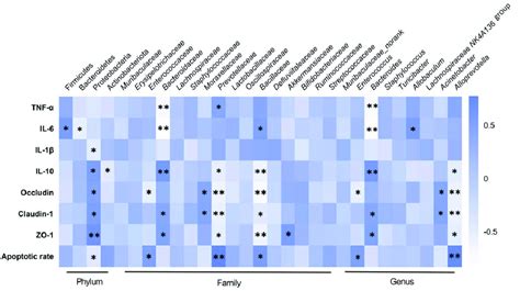 Correlation Analysis Heatmap Only Significant Correlations P