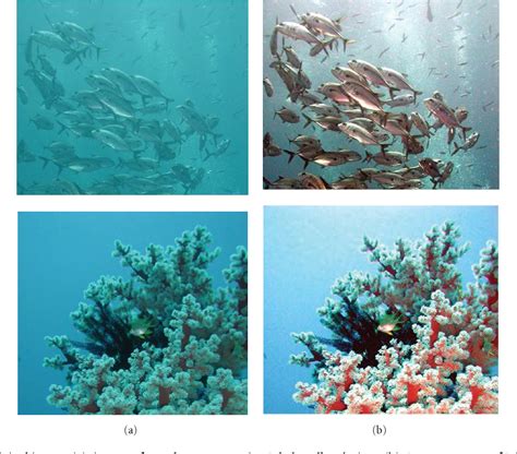 figure 8 from underwater image processing state of the art of restoration and image enhancement