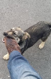 Ethercat Drives Not Responding Mesa Error Finishing Read Page LinuxCNC