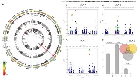 Differential Allele Specific Expression Sites Across The Download