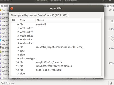 Why Does Firefox Open 4 Processes Havalzap