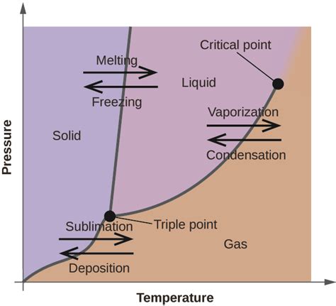Label The Features Of The Phase Diagram