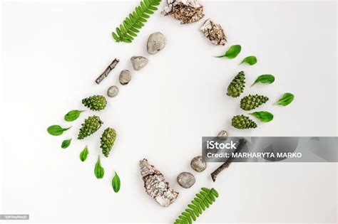 마름모 프레임 창조적인 레이아웃 나뭇잎 돌과 흰색 배경에 나무의 자연 레이아웃 광고 카드 또는 초대장 비어 자연의 개념입니다 여름 포스터입니다 플랫이 하다 자연 배경 0명에