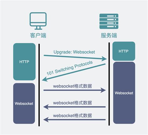 39 既然有 协议，为什么还要有 Websocket？ 小林coding Java面试学习